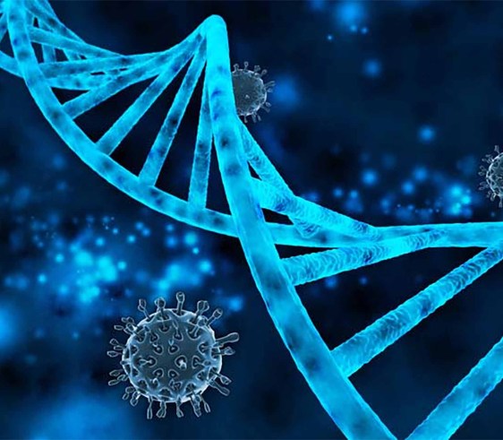 What are the differences between PCR, RT-PCR, qPCR, and RT-qPCR? - Enzo