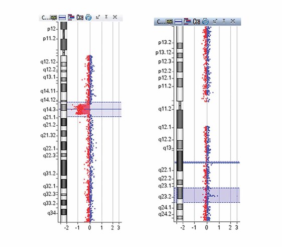 Automated Liquid Handling for High Throughput DNA Labeling with CYTAG® SuperCGH Labeling Kit - Enzo