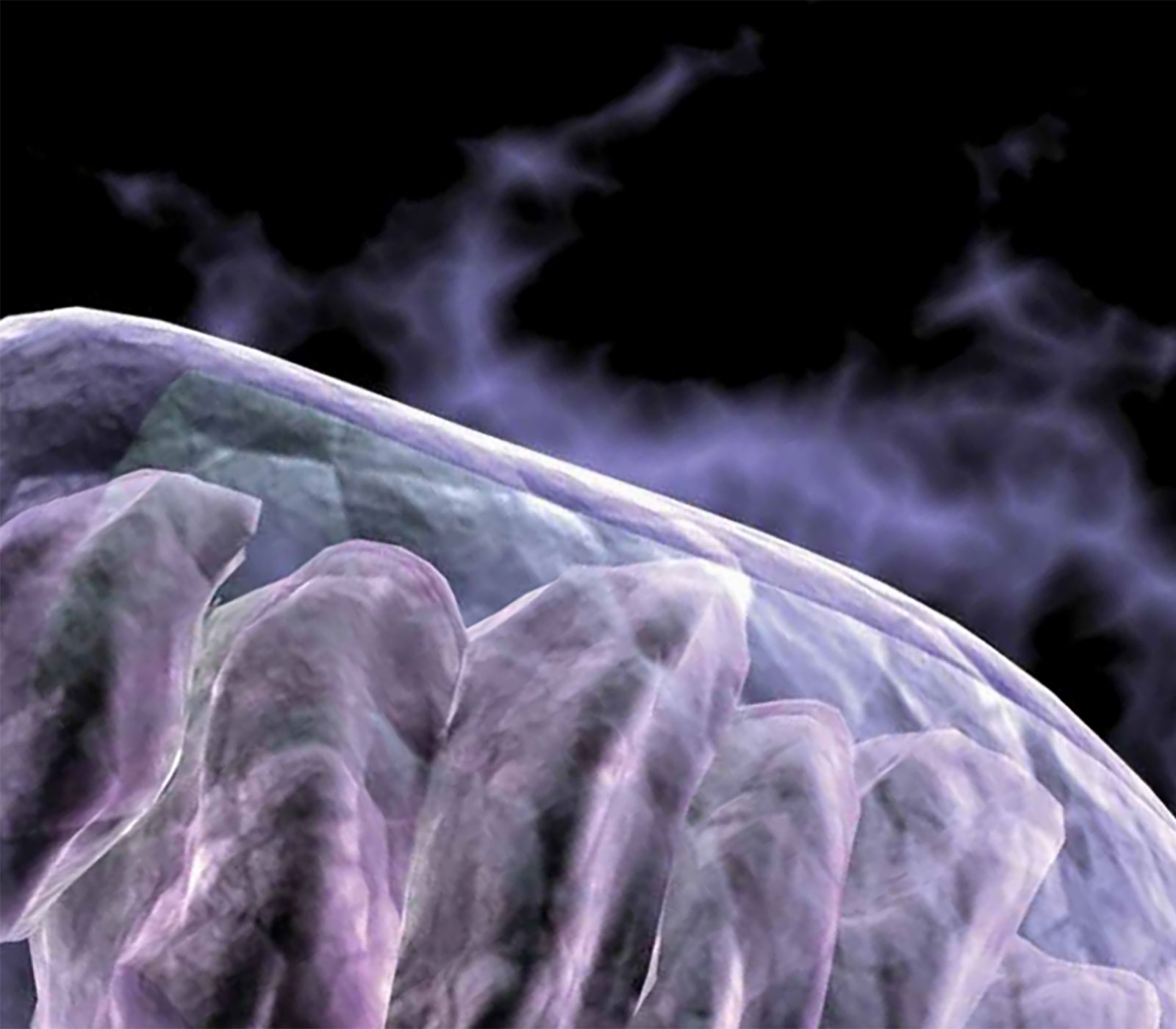 Oxidative Stress - Enzo