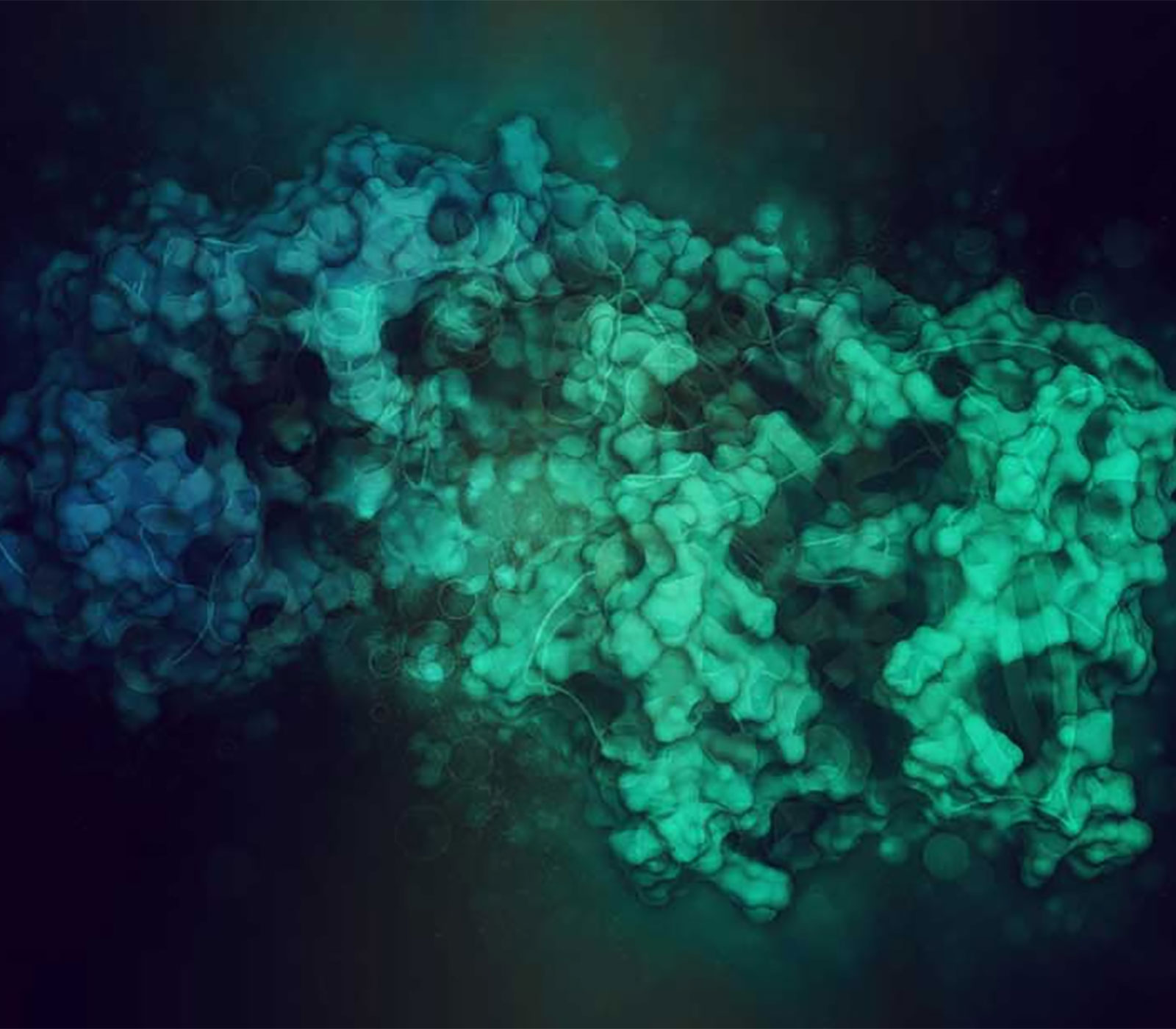 Basic Research - Enzo