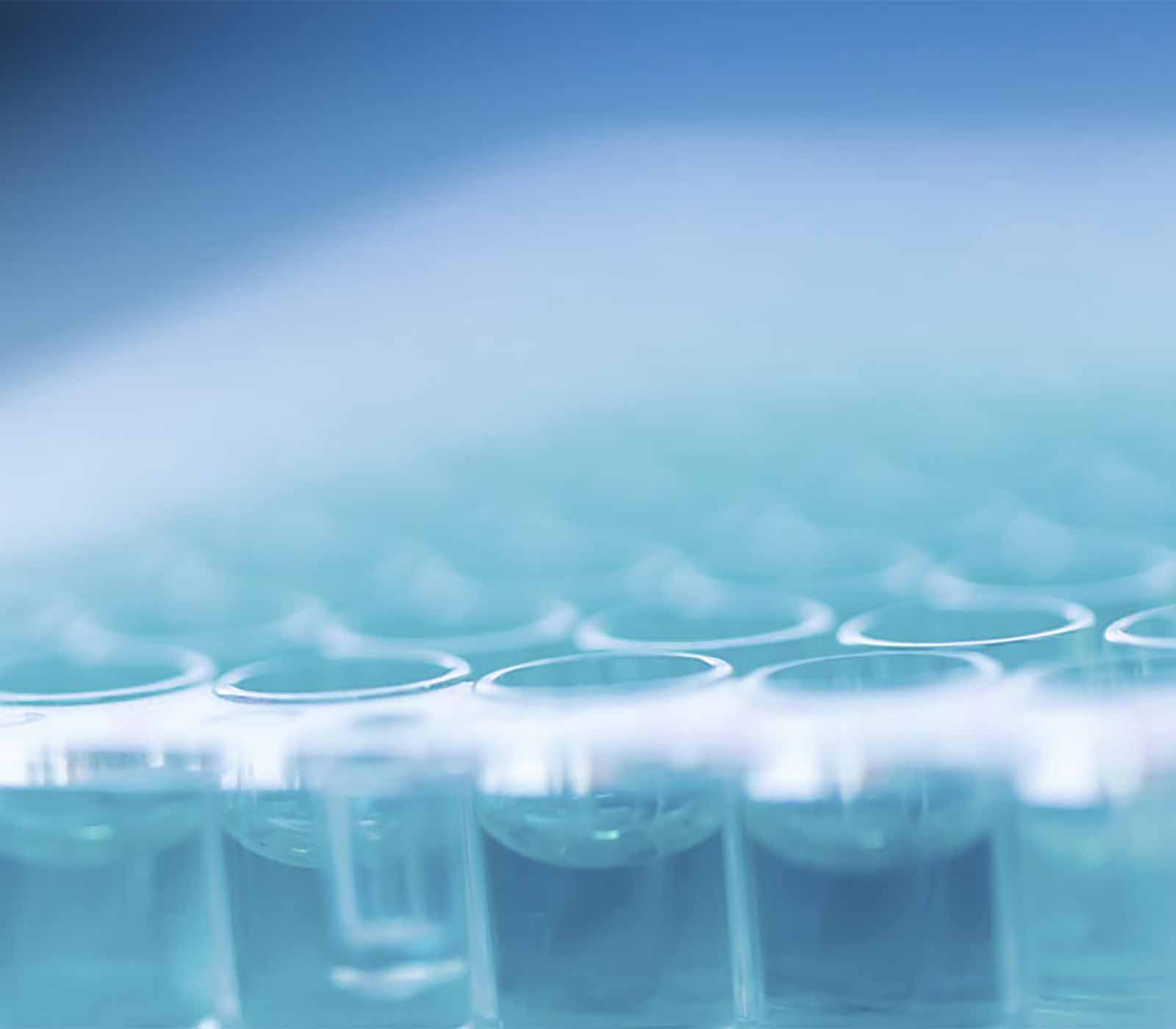 What are the different types of cell-based assays? - Enzo