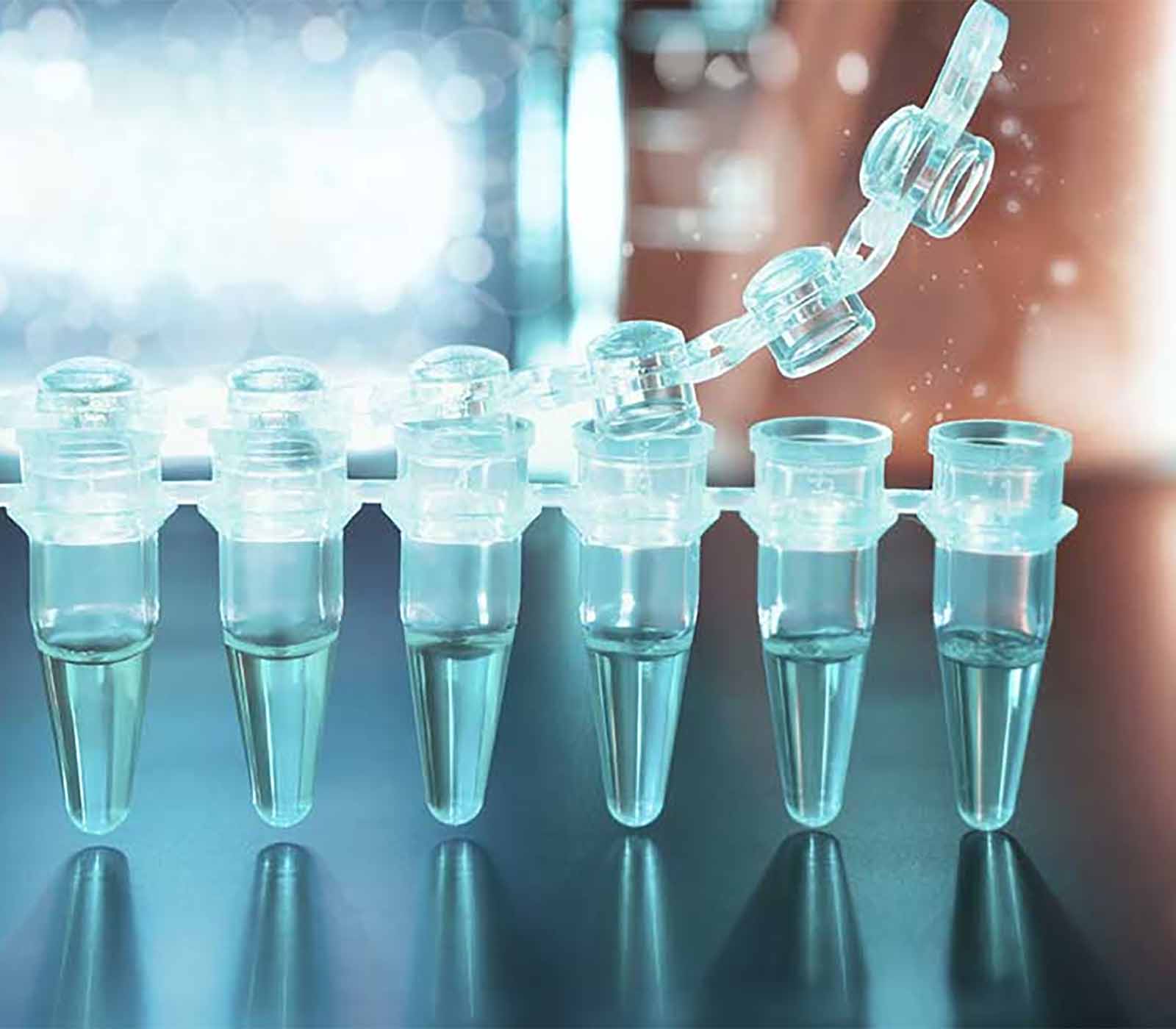 10 Tips for Successful Real Time qPCR - Enzo