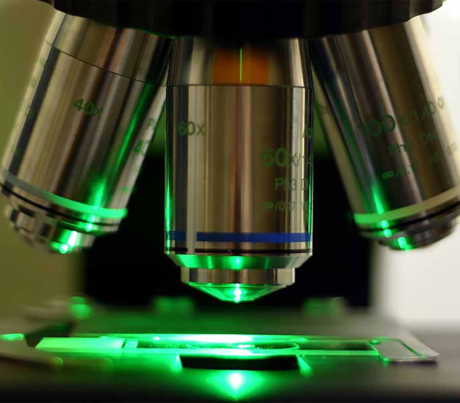 What are the different types of cell-based assays? - Enzo