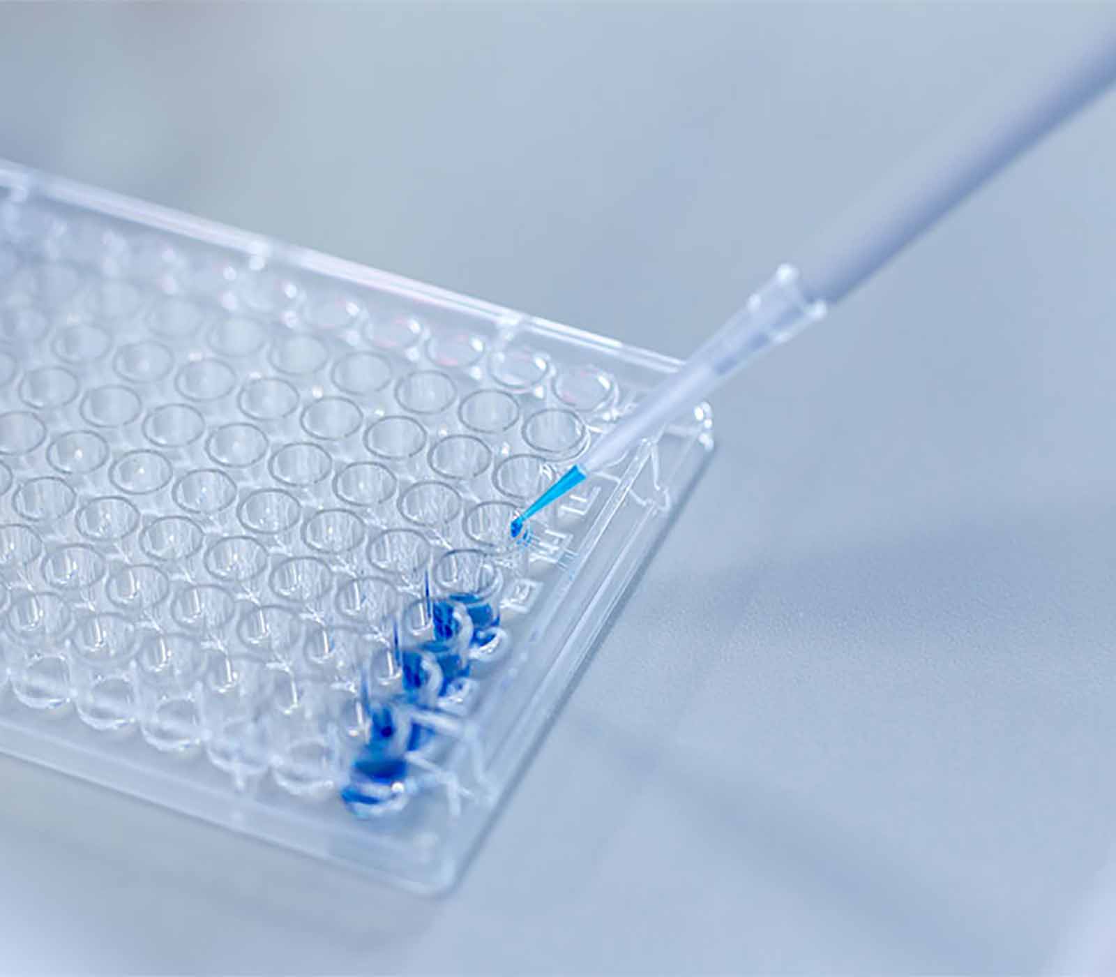 %CV in ELISA: How to Reduce Them and Why They’re Important - Enzo