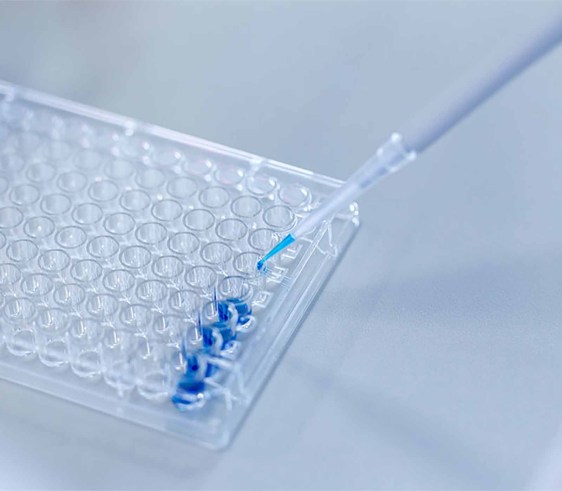 Which Controls to Use in ELISA Assays? - Enzo