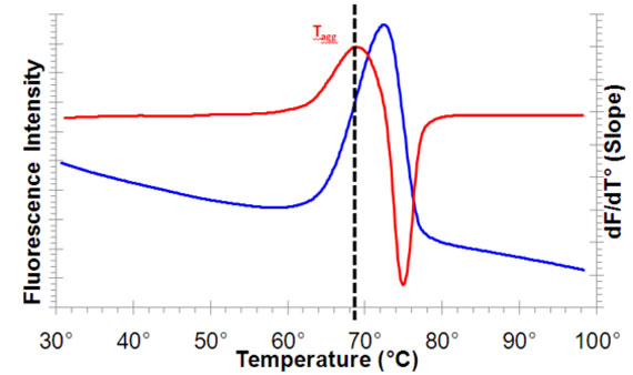 How To Determine Protein Stability - Enzo