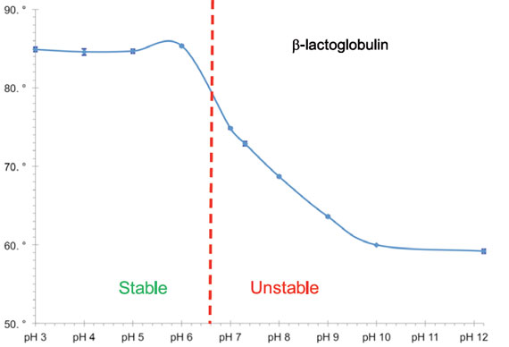 How To Determine Protein Stability - Enzo