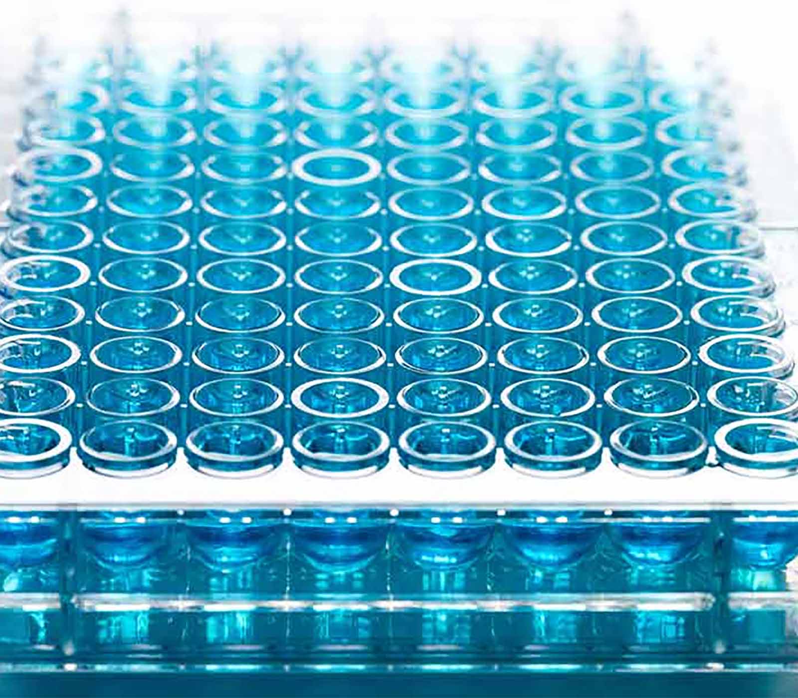 How to Validate Sample Dilutions and Achieve Linearity in New Sample ...