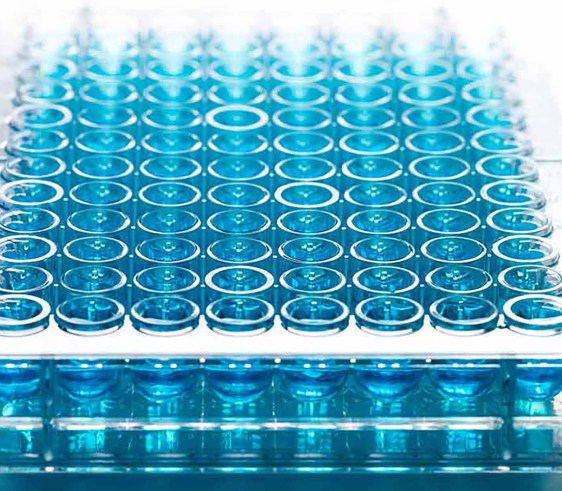 Validation of a Serotonin ELISA Kit with Blood Samples from Three ...