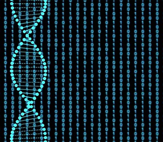 Cytogenetics - FISH - Enzo