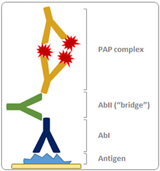 What are the different detection methods for IHC? - Enzo