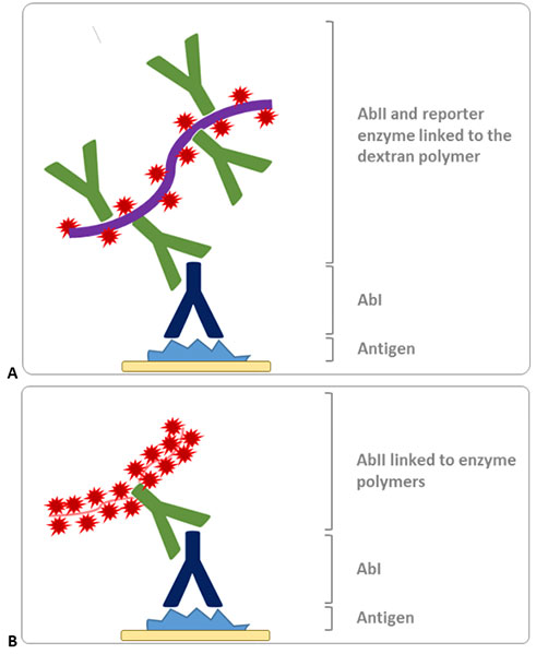 What are the different detection methods for IHC? - Enzo