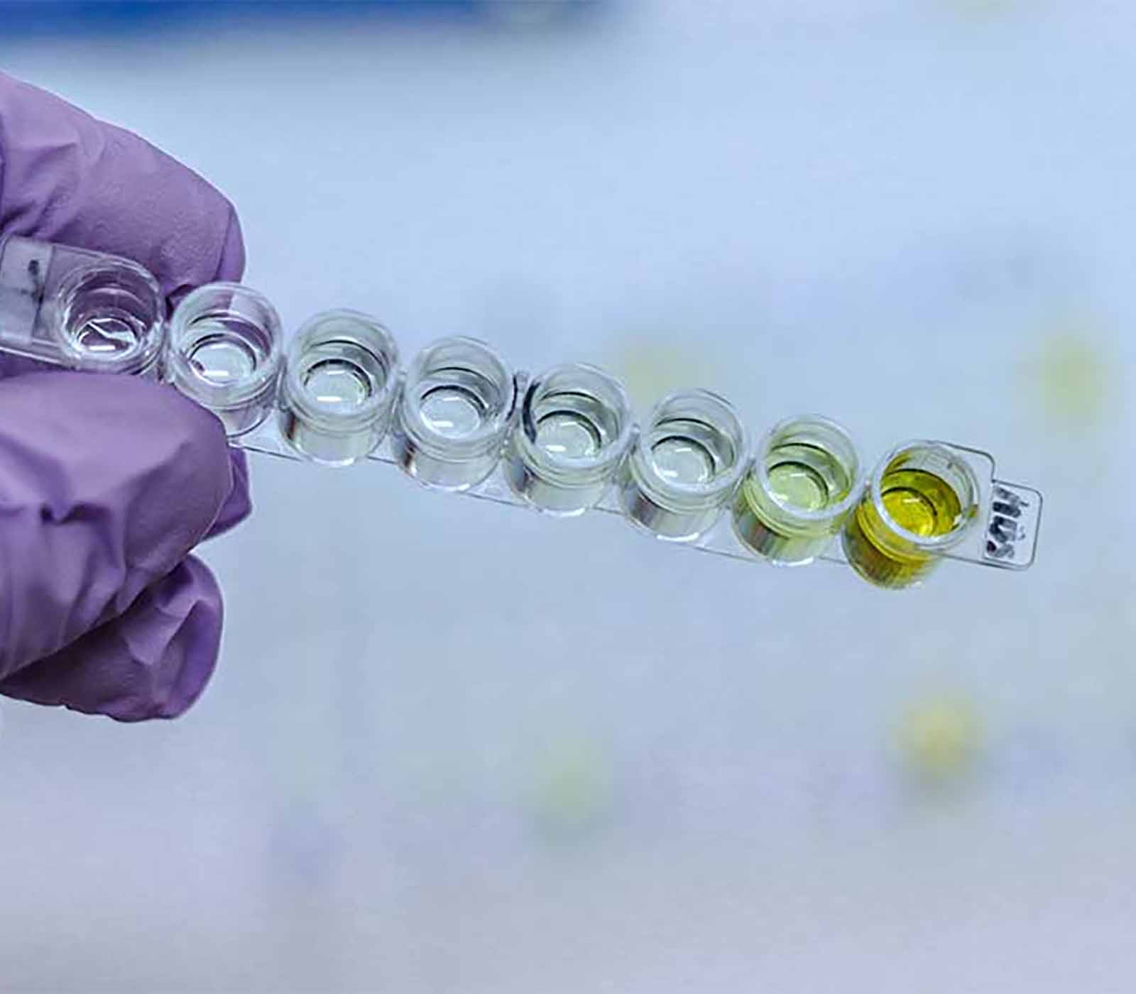 Which Controls to Use in ELISA Assays? - Enzo