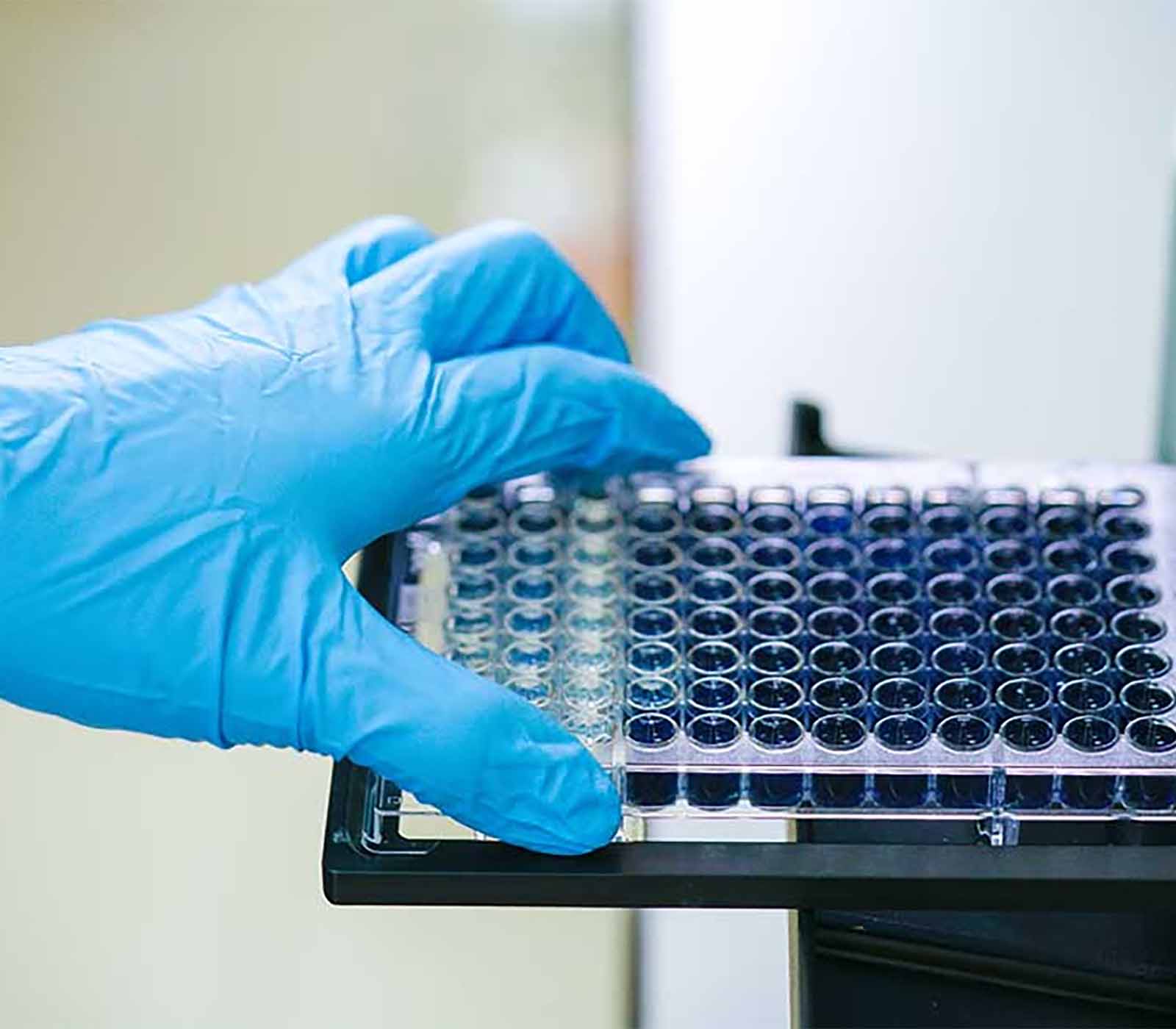 Which Controls to Use in ELISA Assays? - Enzo