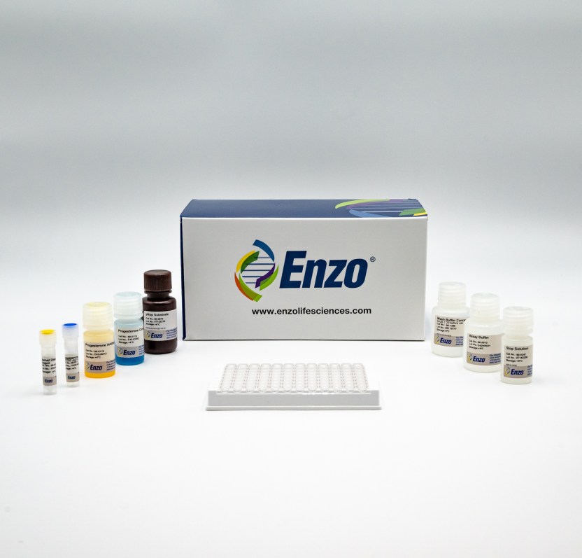 Progesterone ELISA kit - Enzo