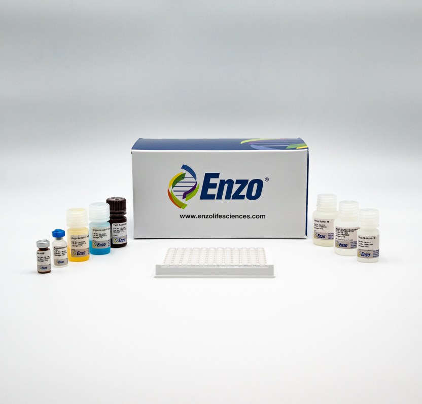 Angiotensin II ELISA kit - Enzo