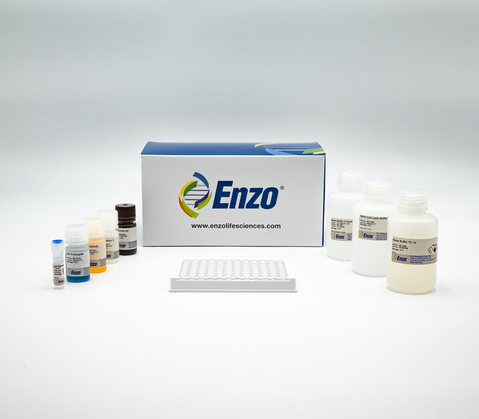 CYTO-ID® Autophagy detection kit 2.0 - Enzo