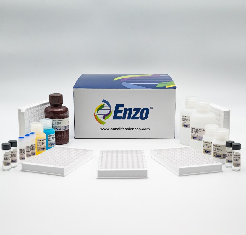 Direct cGMP ELISA kit - Enzo
