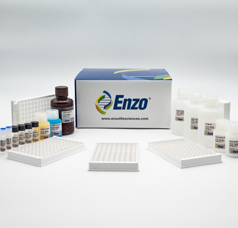 cGMP complete ELISA kit - Enzo