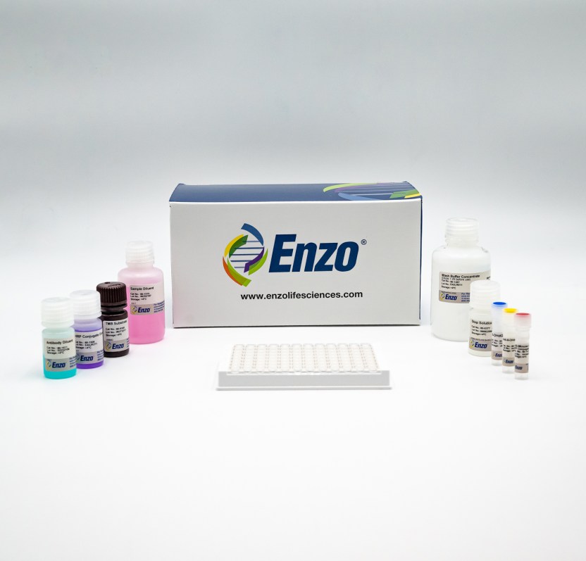 DNA damage ELISA kit - Enzo