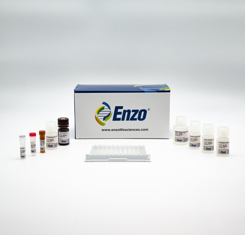 PKC kinase activity kit - Enzo