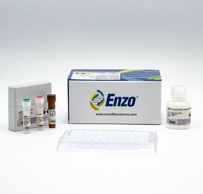 Matrix Metalloproteinase-1 (MMP-1) colorimetric drug discovery kit - Enzo