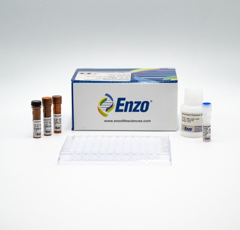 Neutrophil elastase colorimetric drug discovery kit - Enzo