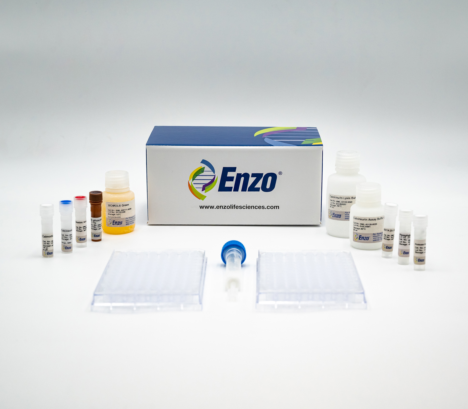 Calcineurin cellular activity assay kit - Enzo