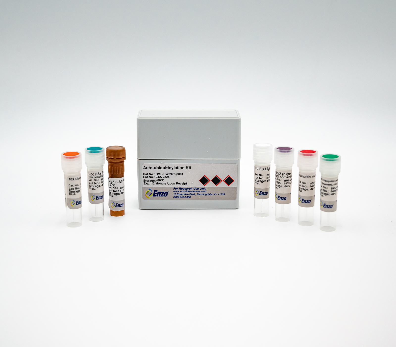 Ubiquitinylation kit - Enzo