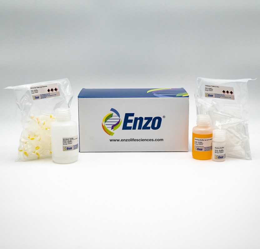 PCR & Gel Clean-up Kit - Enzo