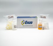 CYTAG® CGH Labeling kit - Enzo