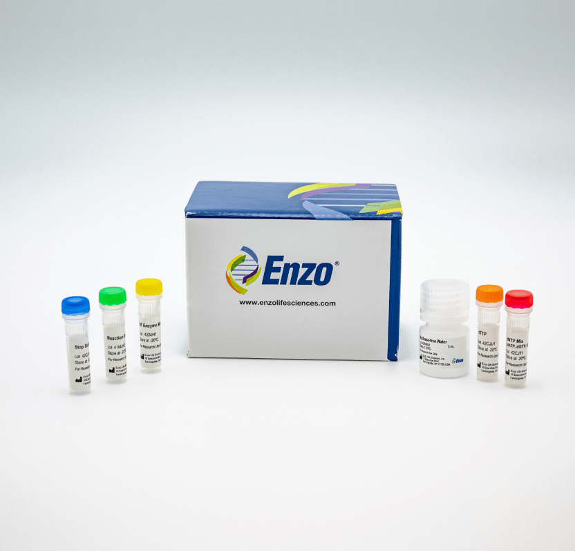 Nick translation DNA labeling system 2.0 - Enzo