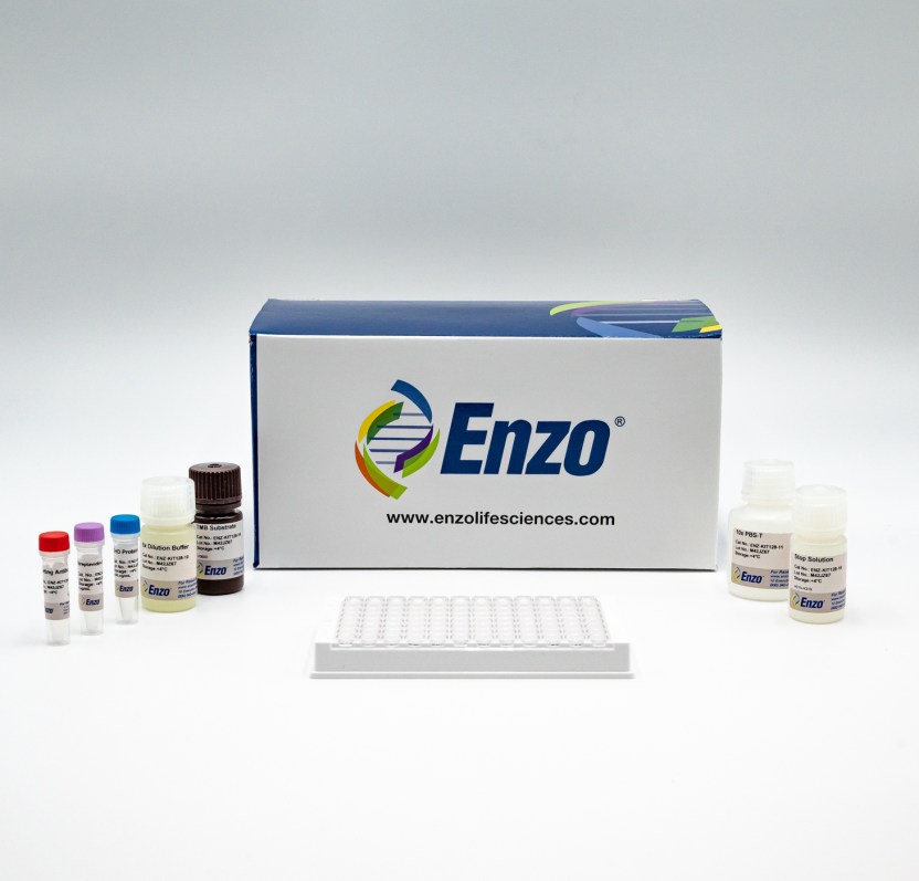CHO host cell protein ELISA kit - Enzo