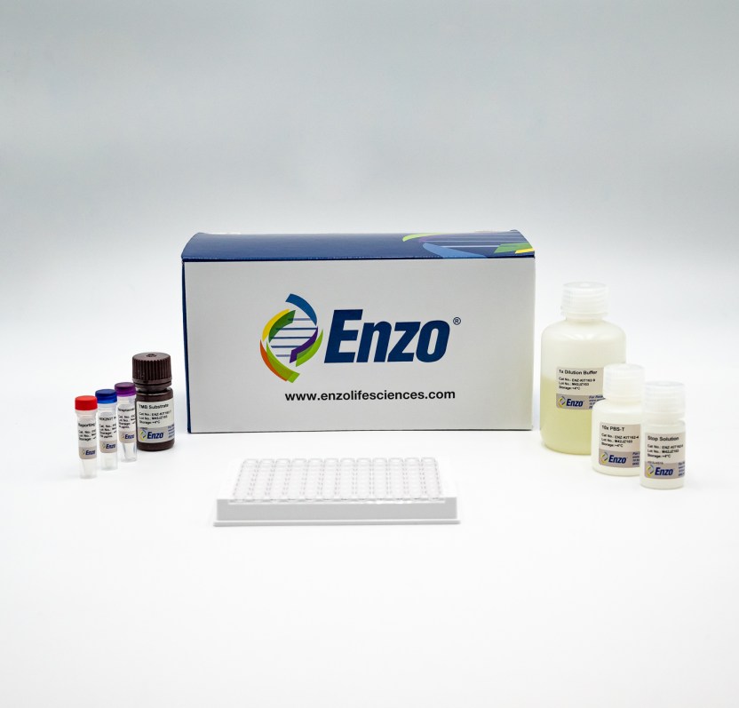HEK293T host cell protein ELISA kit - Enzo