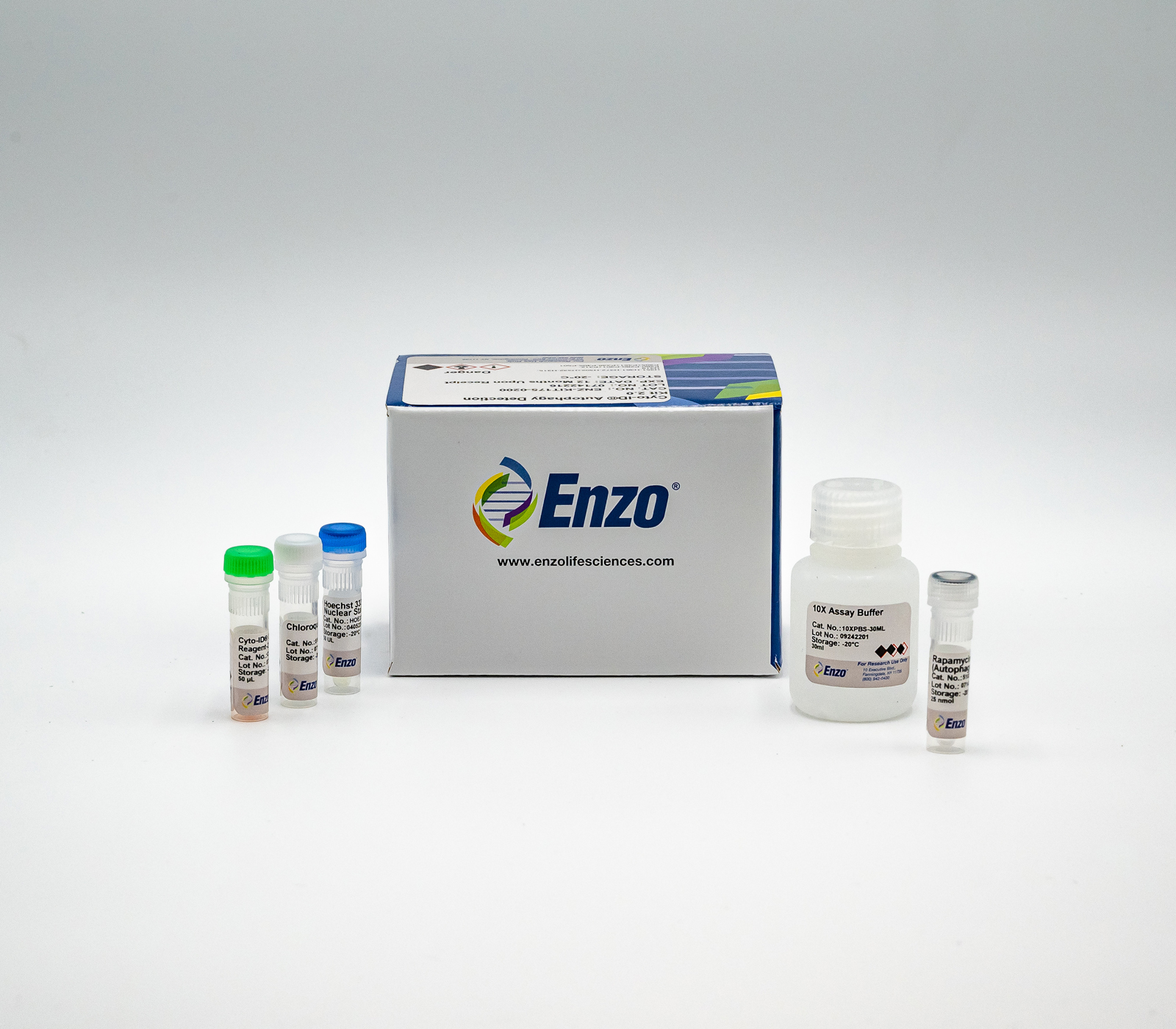 CYTO-ID® Autophagy detection kit 2.0 - Enzo