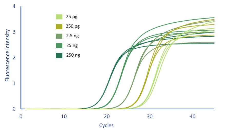 qPCR and RT-qPCR - Enzo