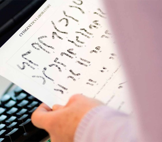 Cytogenetics - FISH - Enzo