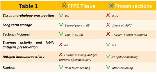Choosing your fixation, embedding, and antigen retrieval method for ...