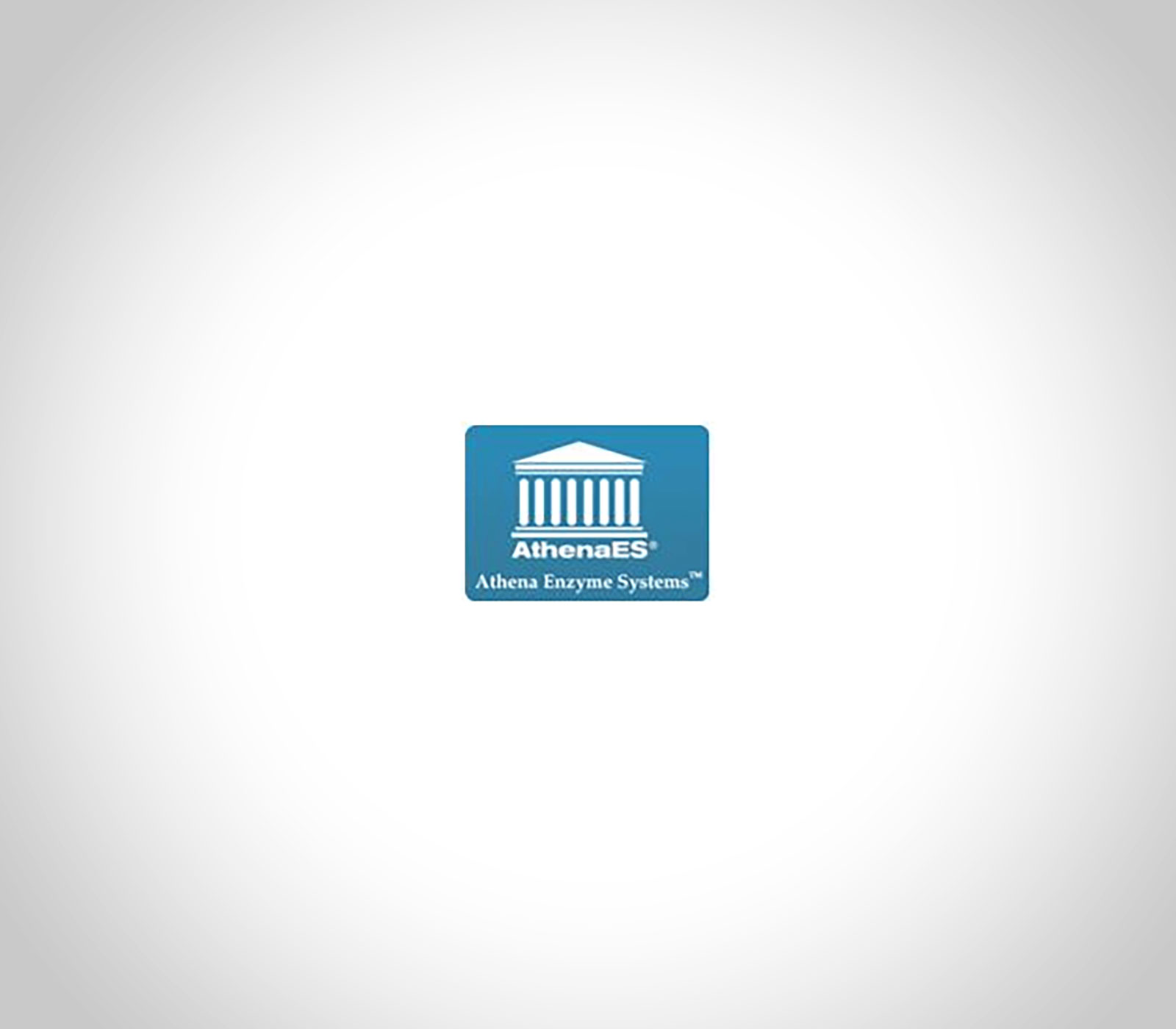 QuickFold™ Protein Refolding Kit - Enzo