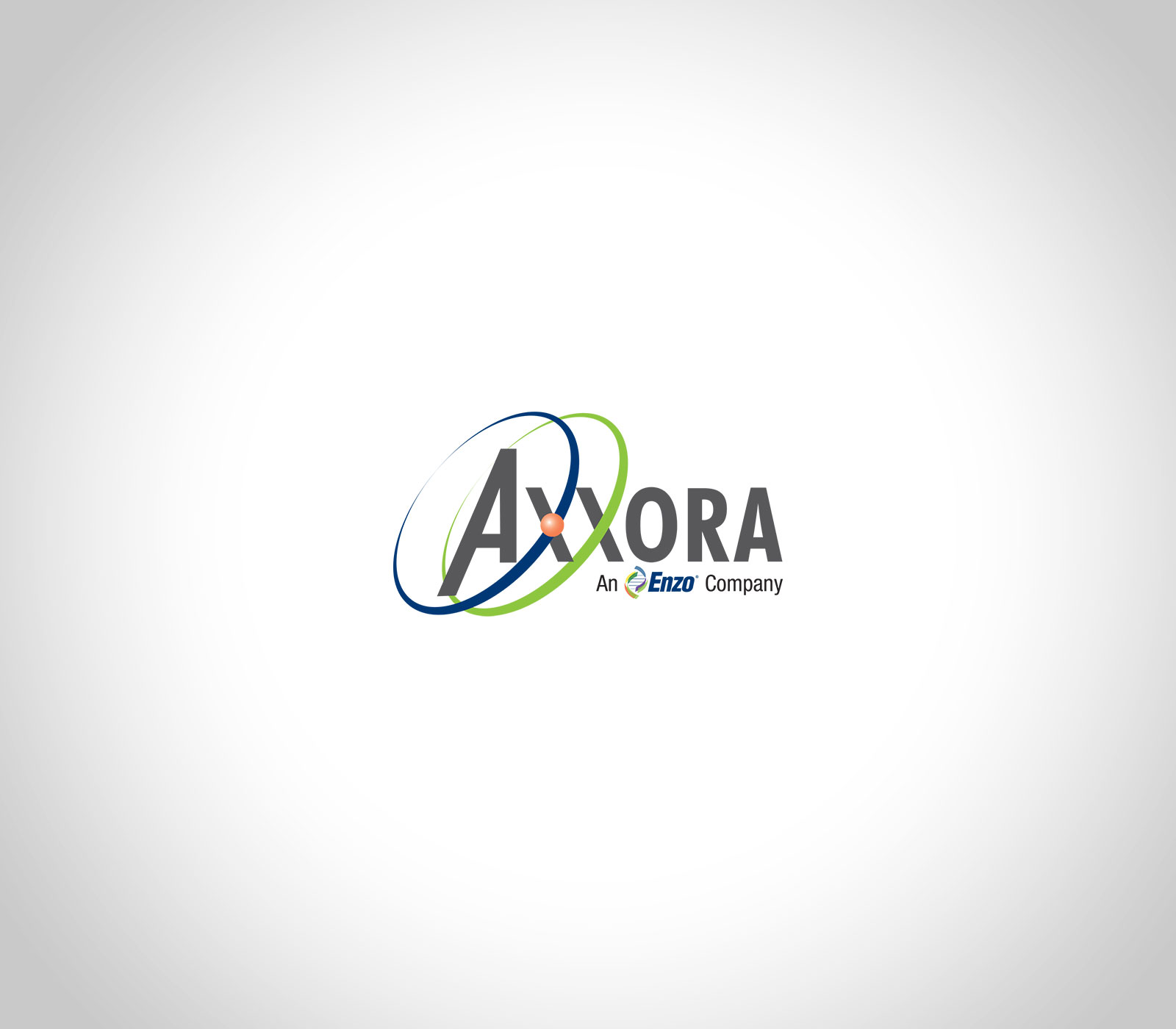 Axxora Marketplace - Enzo
