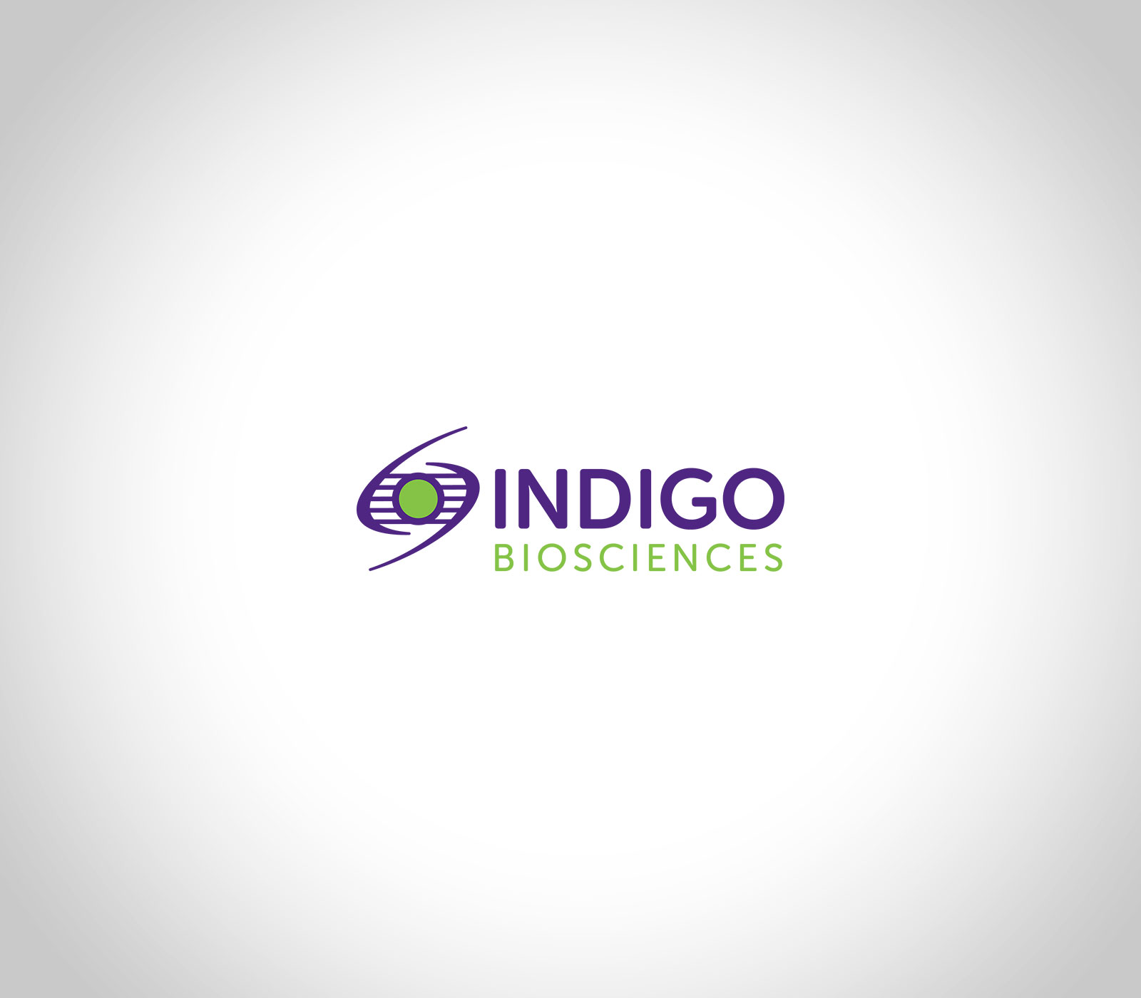 Human P-Glycoprotein / MDR1 Drug Interaction Assay - Enzo