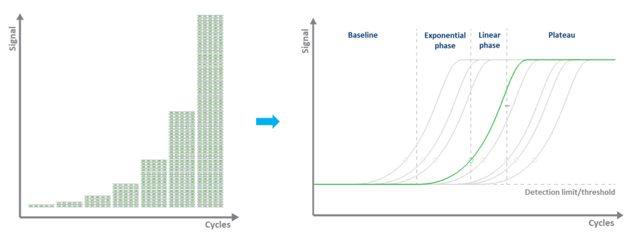 What are the differences between PCR, RT-PCR, qPCR, and RT-qPCR? - Enzo