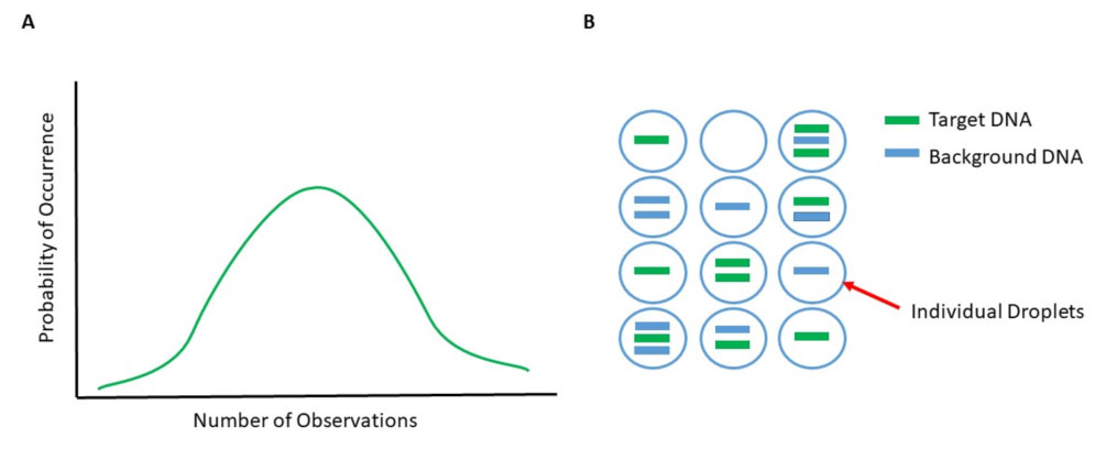 What are the differences between PCR, RT-PCR, qPCR, and RT-qPCR? - Enzo