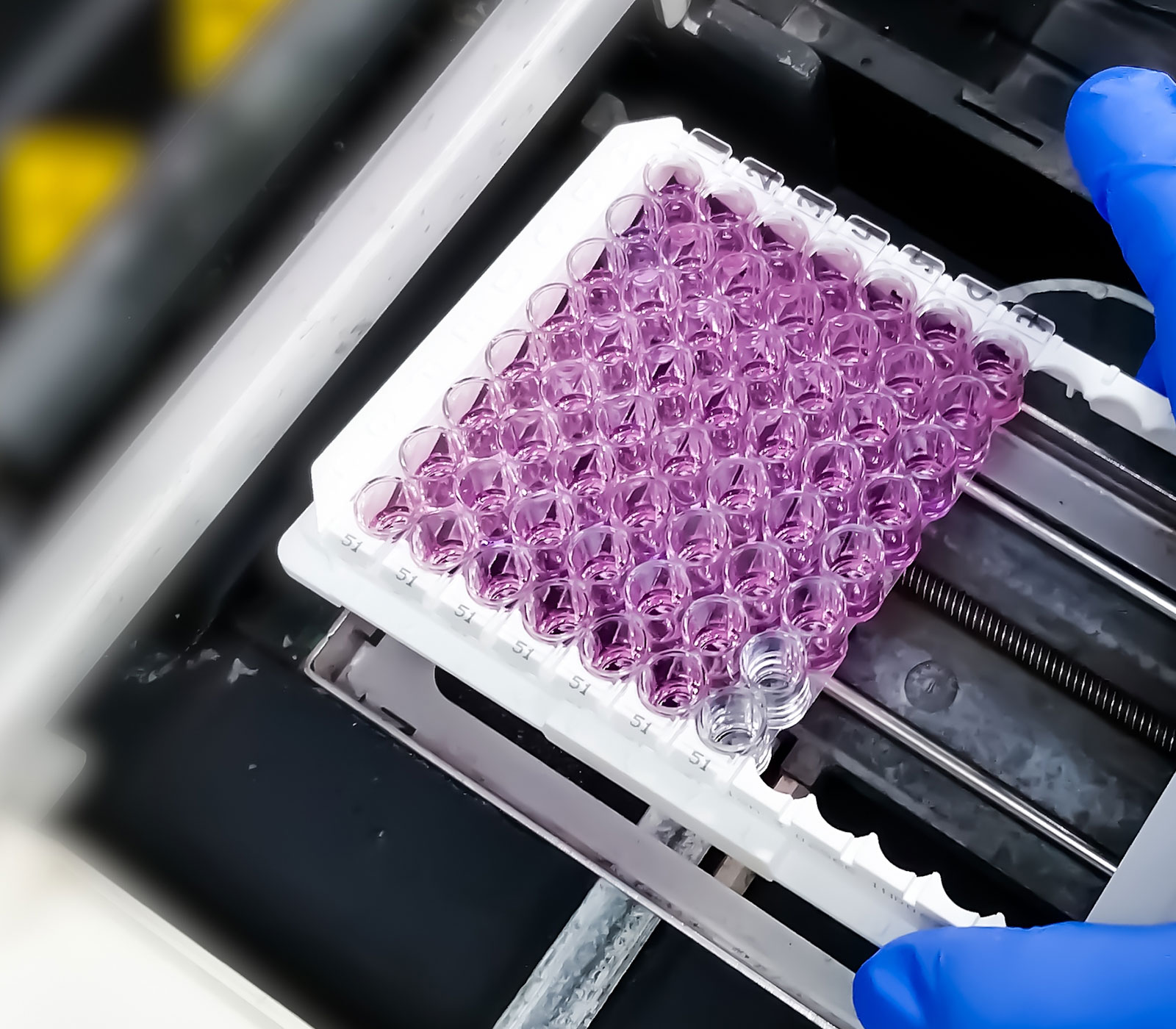 Application Notes - Enzo