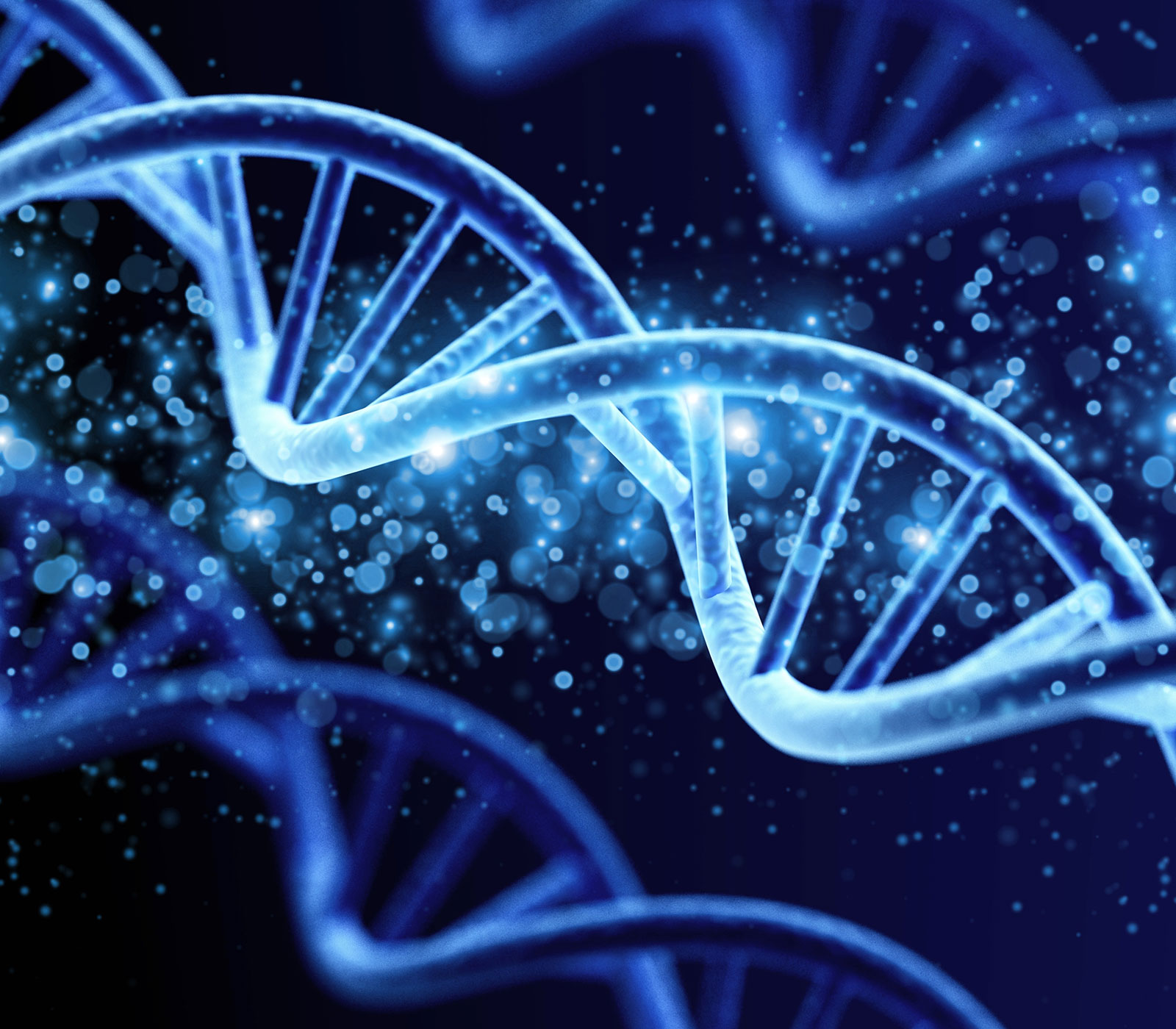 Gene Technologies - Enzo