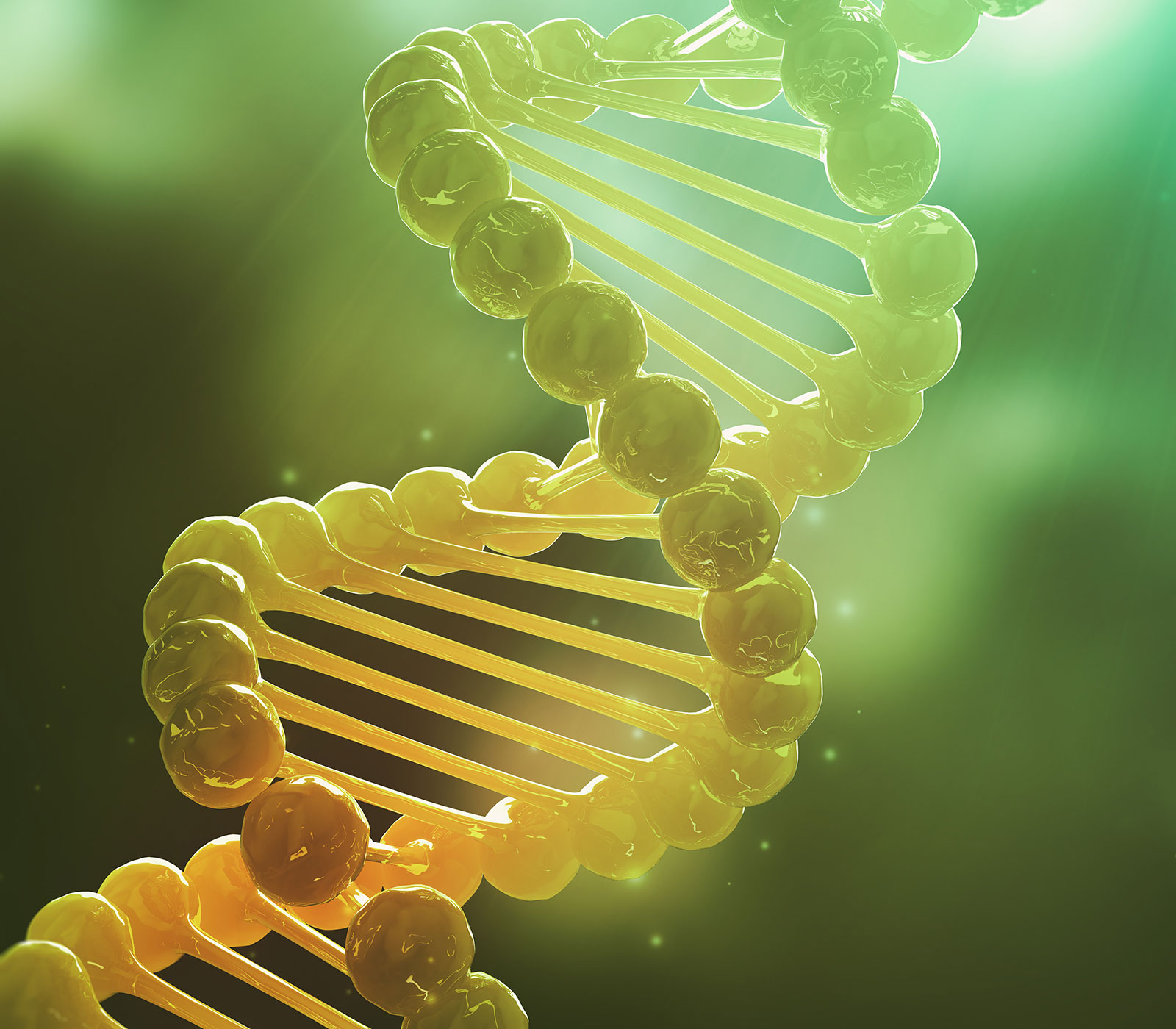 Nucleic Acid Purification & Extraction - Enzo