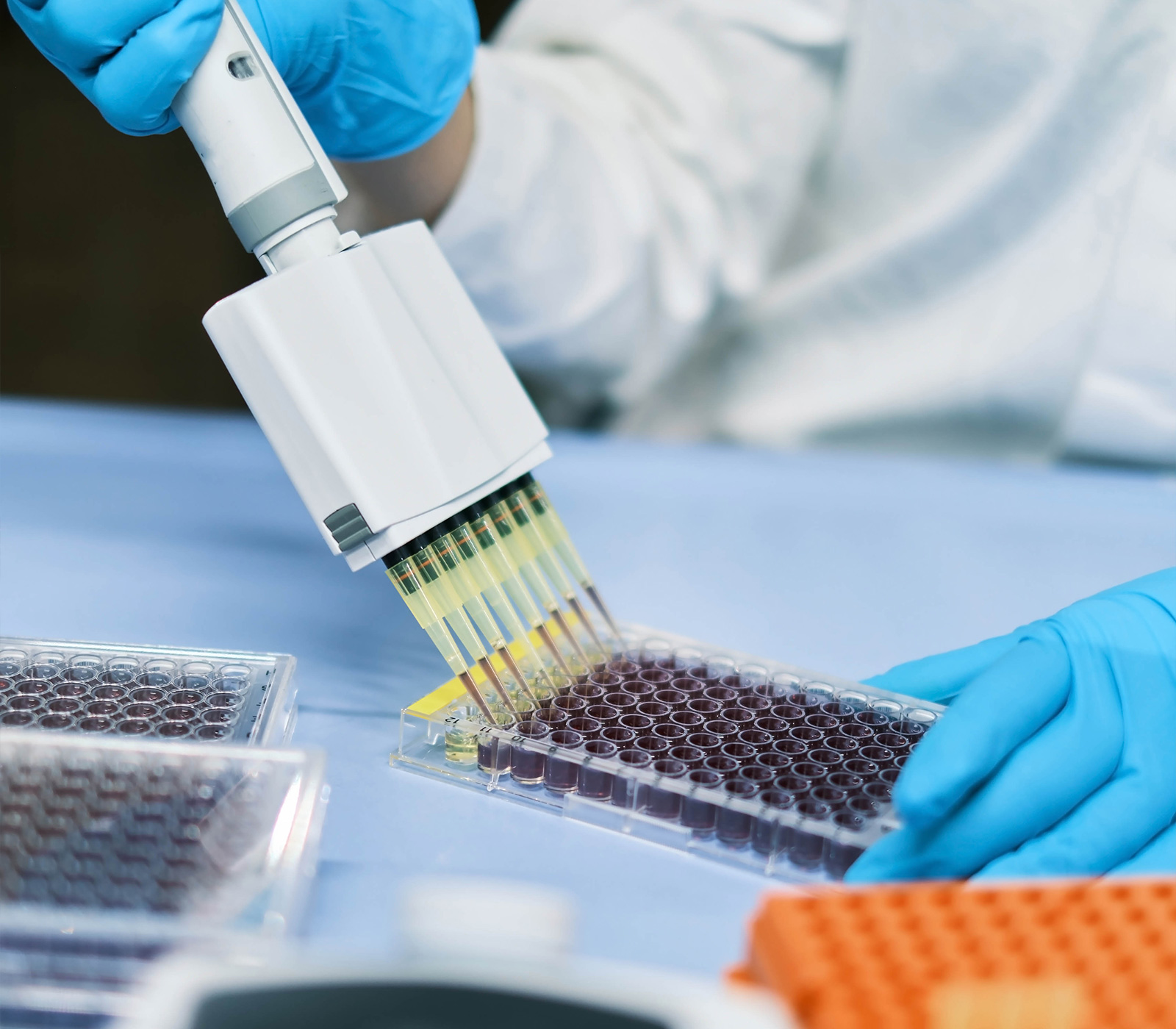 Target Validation - Enzo