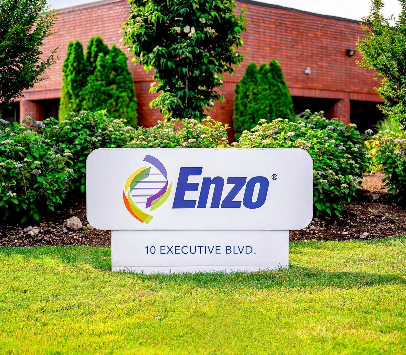 Locations - Enzo