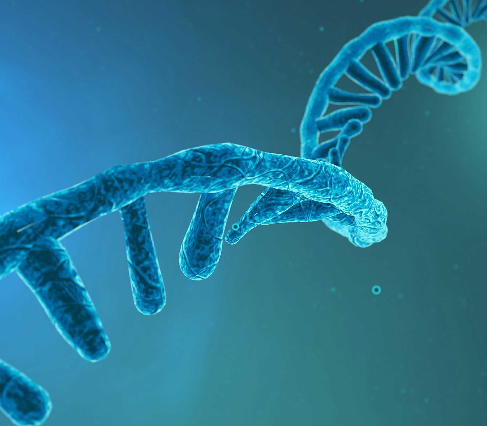 AMPIVIEW® RNA probes - Enzo