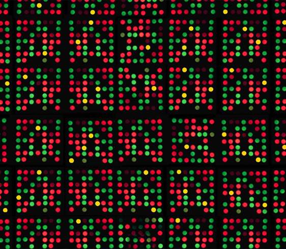 Genomic Analysis - Enzo